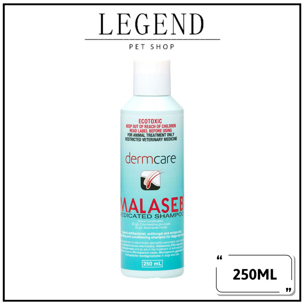 (Original) Dermcare Malaseb Medicated Shampoo 250ml | Shopee Malaysia