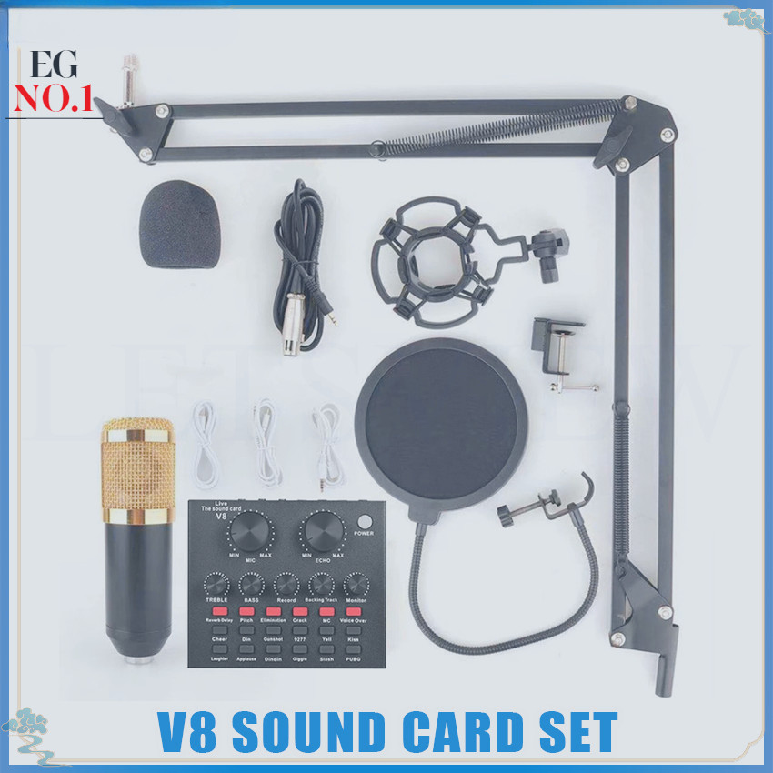 EG V8 Sound Card Studio Series Microphone Condenser Microphone V8 ...