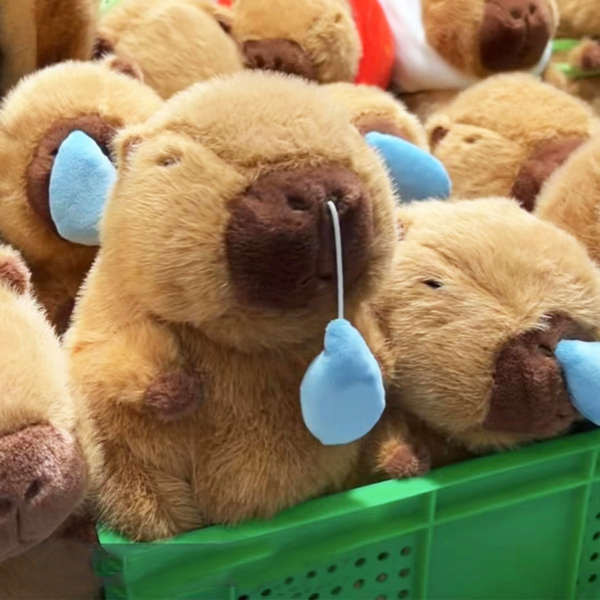 capybara Anak patung Capy Bala Hidung Berair Anak Patung Capybara Kirby ...