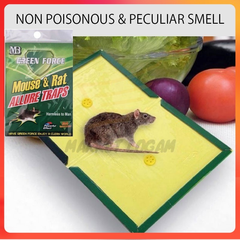 MB Mouse Trap Snake Bugs Rat Mice Catcher Board Foldable Pest Control ...