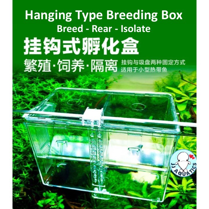 🔥Ready Stock🔥Premium Hook Type Breed Box Aquarium Acrylic Double Layer ...