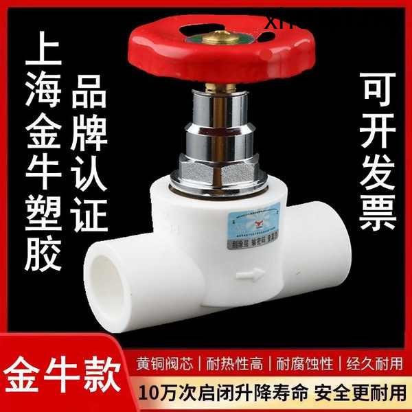 Shanghai Taurus PPR Check Valve PE Valve Taurus Home Installation Valve ...