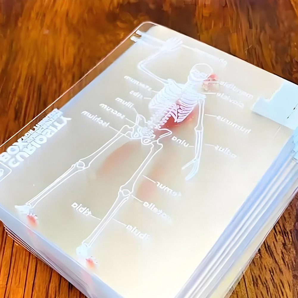 The Body Deck Cards Reusable Body Transparent Playing Cards Multi ...