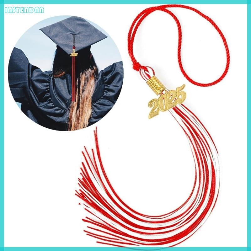 inste Graduation Tassels 2025 Graduation Hat Tassels Charm For Class of ...
