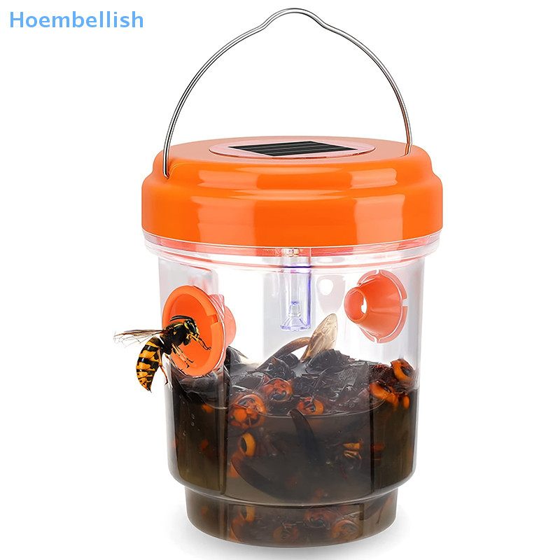 Hoe> Solar LED Light Fruit Fly Trap Killer Hanging Outdoor Catcher ...