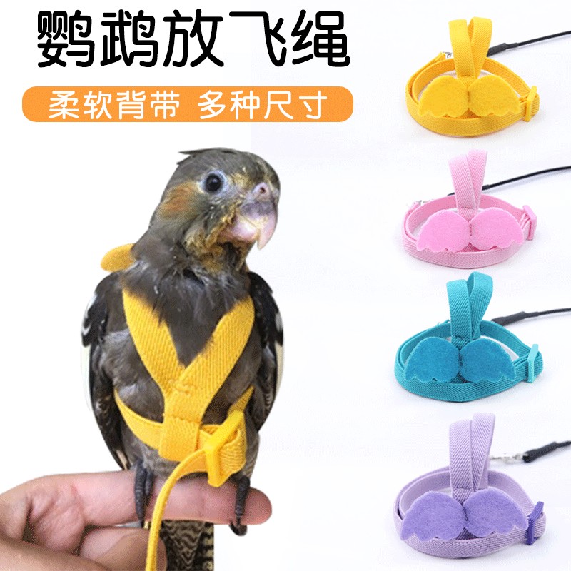 Parrot Flying Strap Ultra-Light Flying Traction Rope Peony Xuanfeng ...