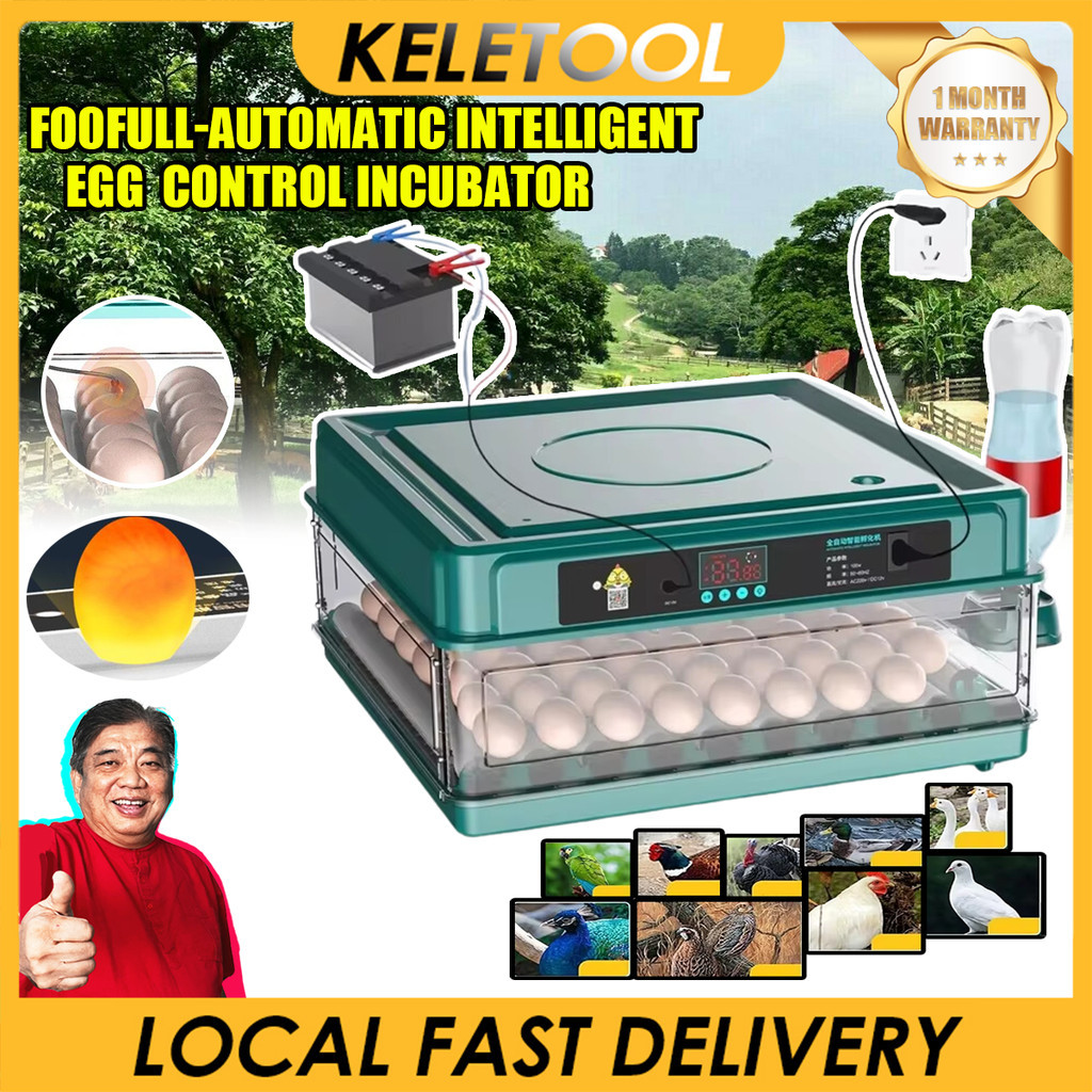 Eggs Automatic Incubator Thermostatic Chicken Hatching Machine Egg ...