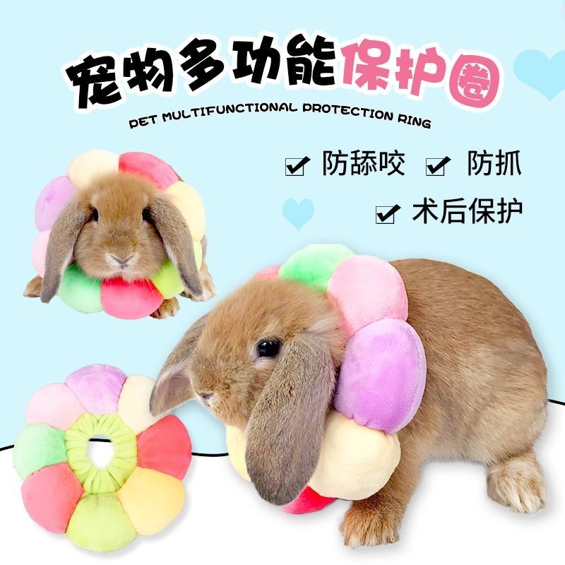 Rabbit Elizabeth Collar Dwarf Rabbit Bunny Cute Anti-shedding Anti ...