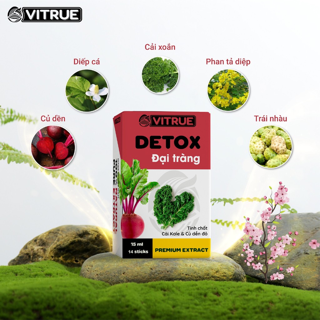 Vitrue Colon - reduces constipation, bloating, indigestion, sneezing, digestive disorders (box ...