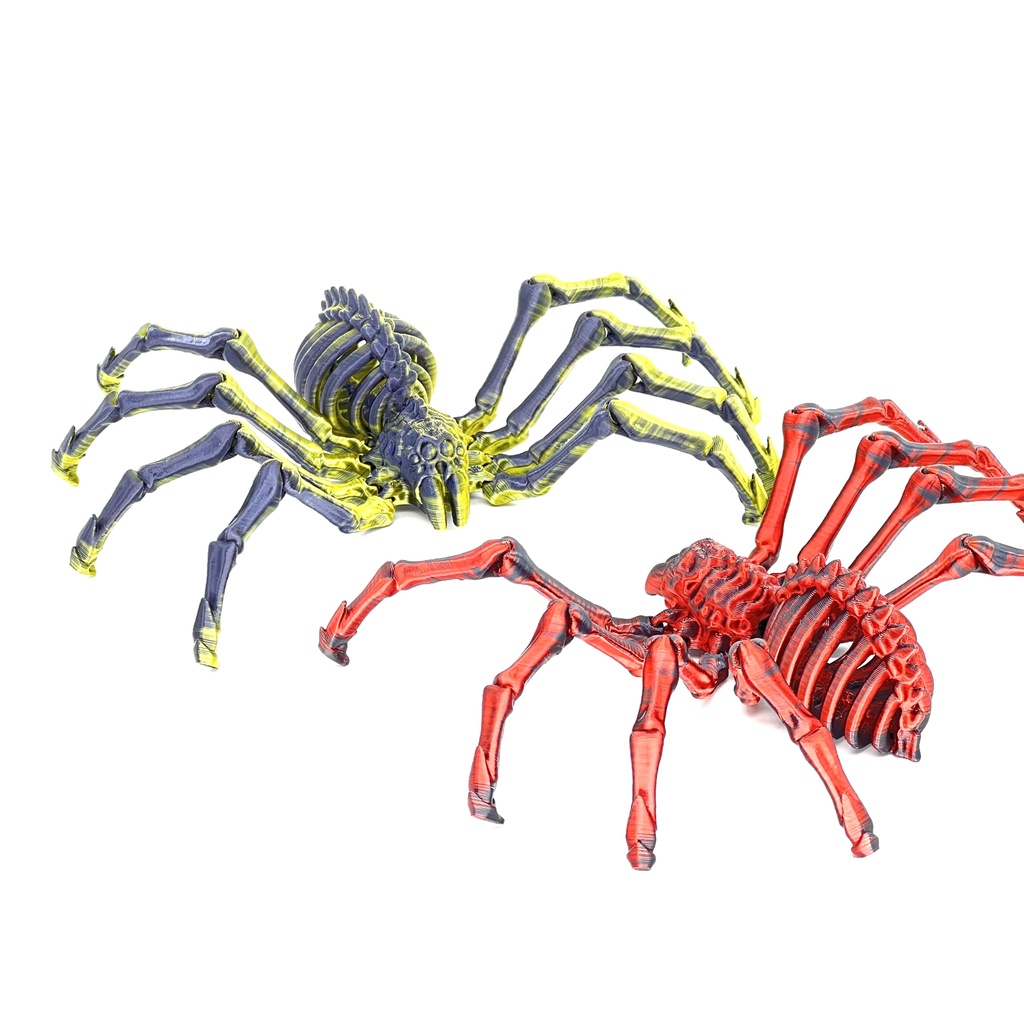 The new 3D printed skeleton tarantula joint movable spider animal ...