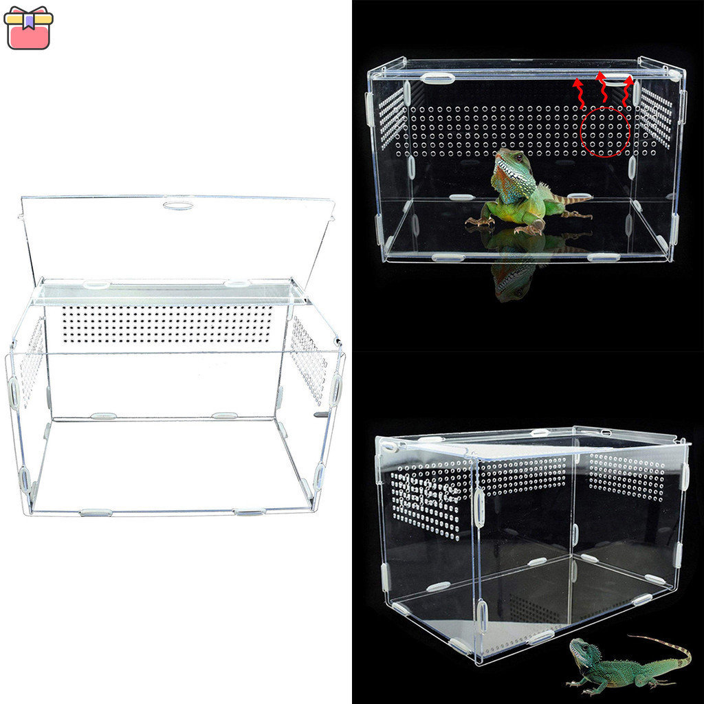 Reptile Breeding Box, Acrylic Insect Feeding Box for Spider | Lizard ...