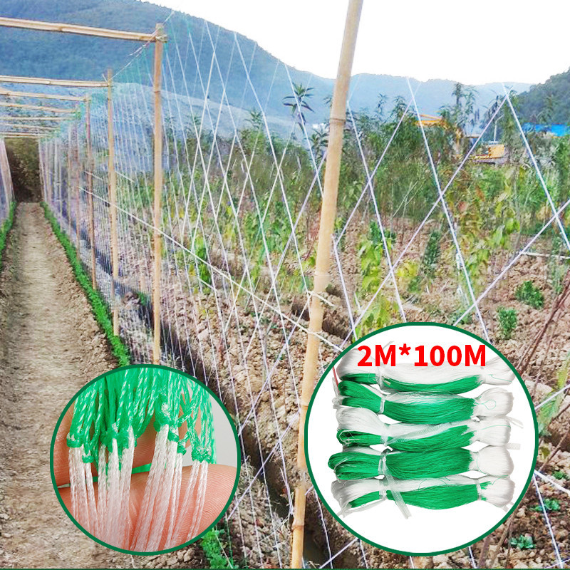 Melon Net Trellis Climbing Plants Support Garden Net Mesh Netting ...