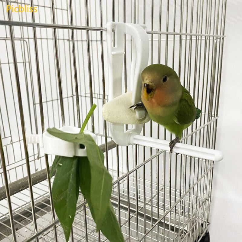 Picbliss Bird Holder Parrot Fruit Cuttlebone Feeder Plastic Clips for ...
