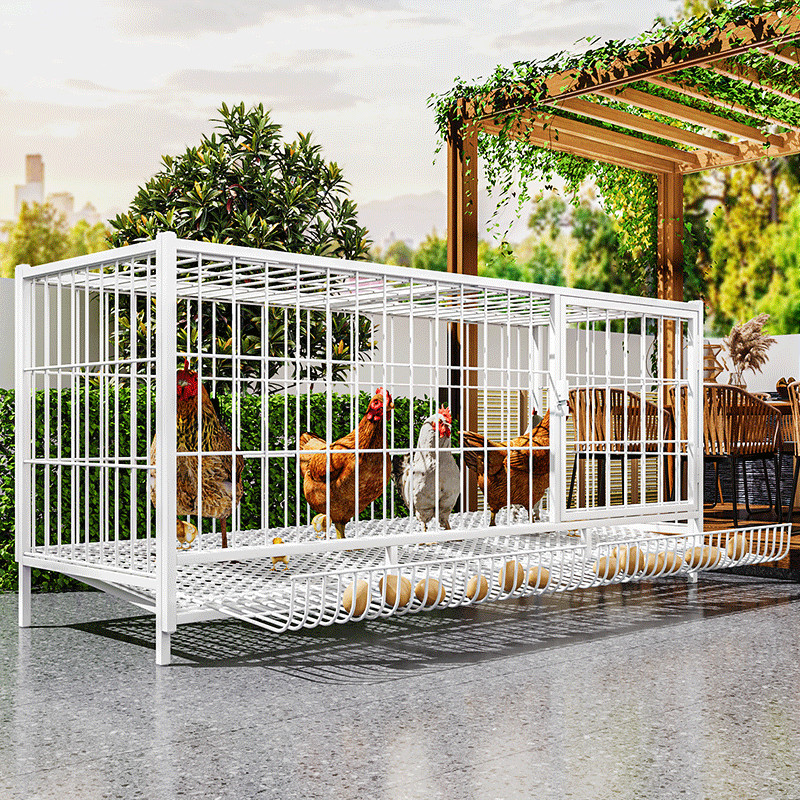 Chicken Cage Household Outdoor Large Rain-Proof Chicken Egg Cage Indoor ...