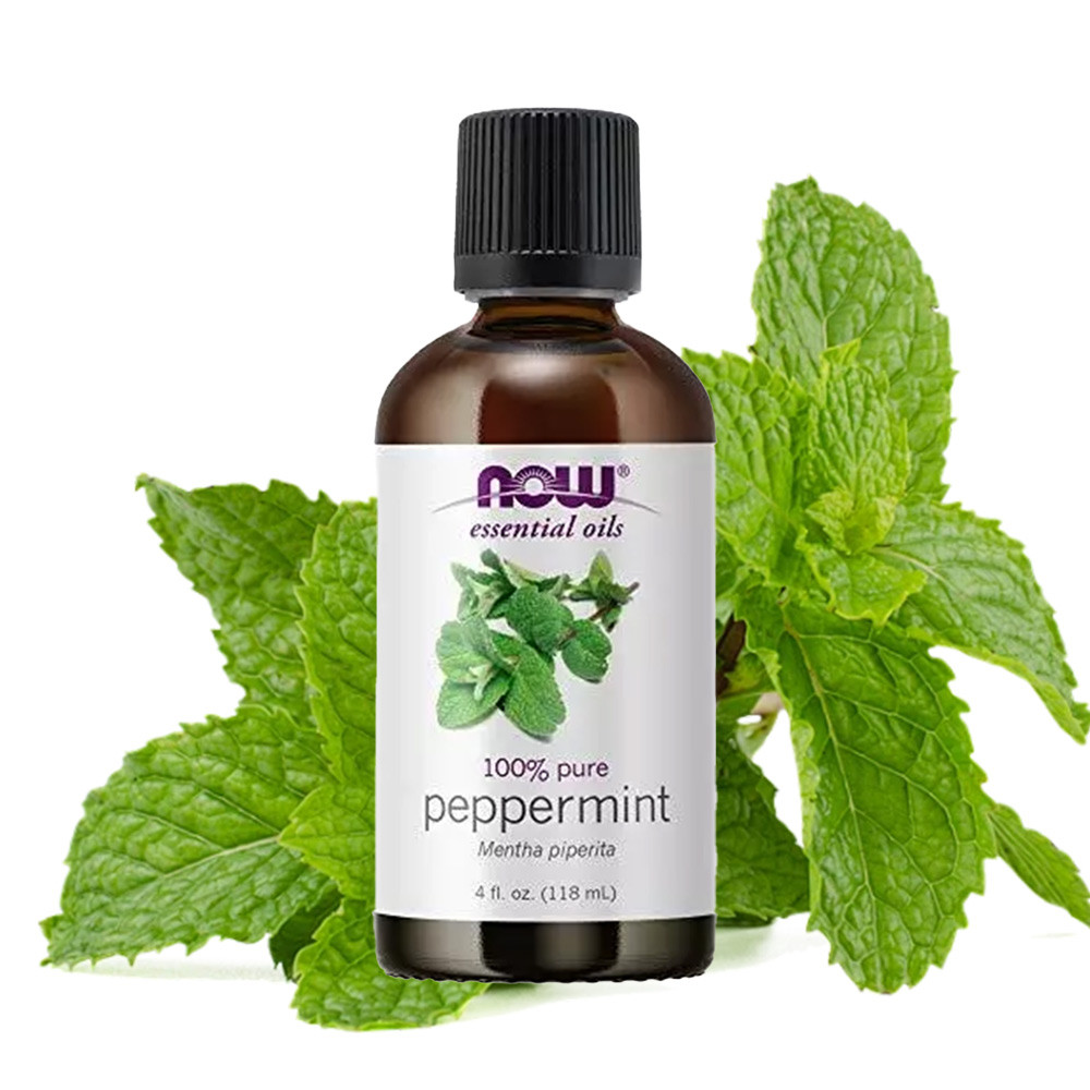 Now Peppermint Essential Oil 118ml | Shopee Malaysia