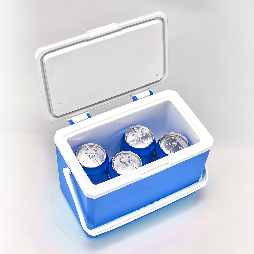 3L Insulated Portable Cooler with Handle Mini Freezer Fridge for Beach ...