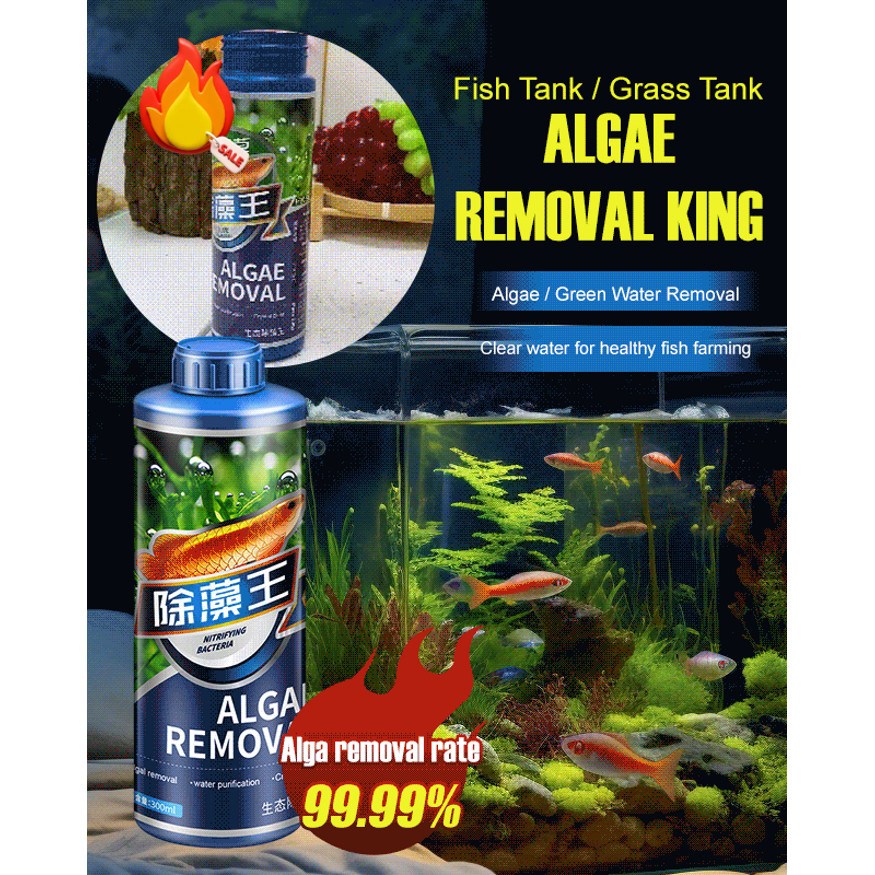Fish Pond Algaecide Remove Black Hair Green Algae Brown Algae | Shopee ...