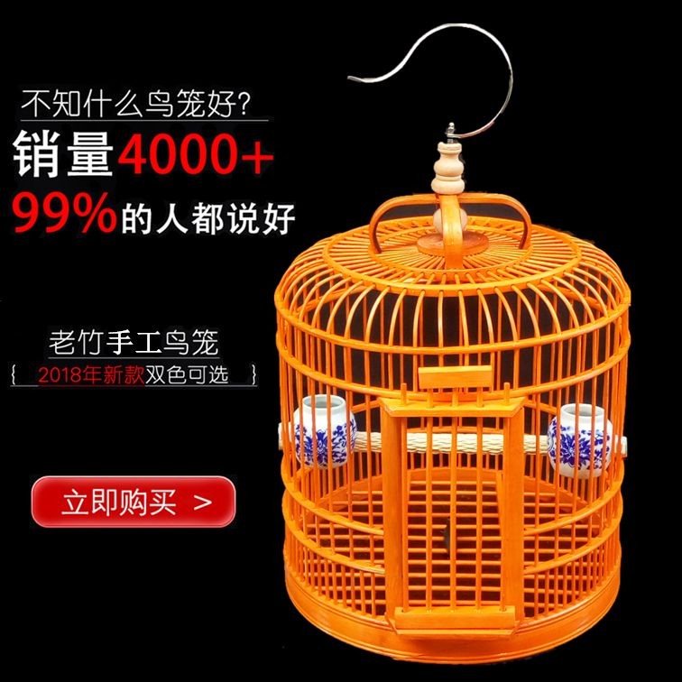 Birdcage Birdcage Bamboo Drawing Eyebrow Birdcage Bamboo Parrot ...