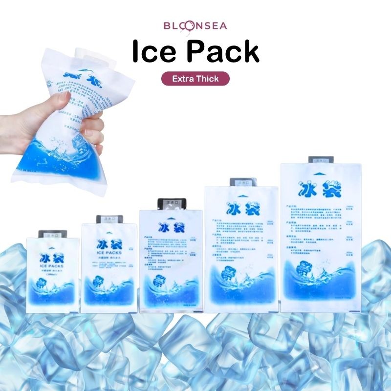 Ice Packs Food Express Keeping Frozen Bag Cold Portable Reusable Dry ...