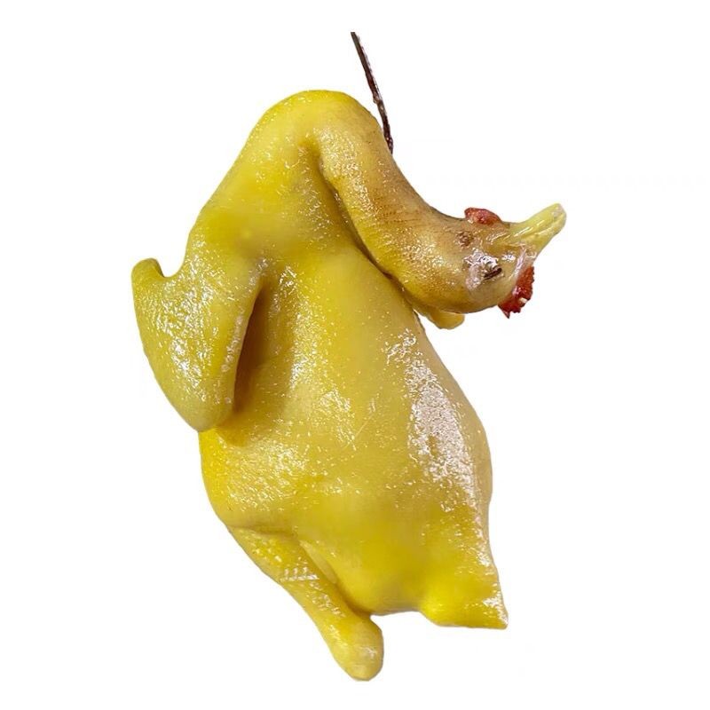 Simulation White Cut Chicken Salt Baked Chicken Roasted Chicken ...