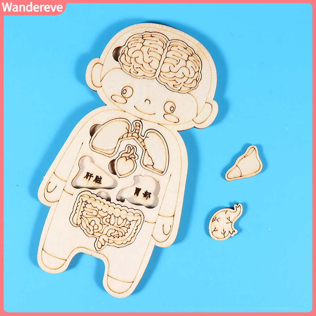 Wandereve| Wooden Body Puzzle Hands-on Anatomy Puzzle Body Puzzle Game ...
