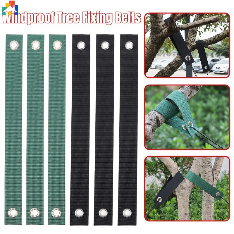 Anti-Hurricane Nylon Fixed Straps Strong Support Garden Planted ...
