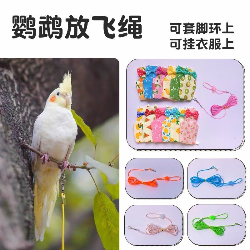 Parrot Diaper Outing Rope One-Piece Colorful Flying Rope Tiger Skin ...