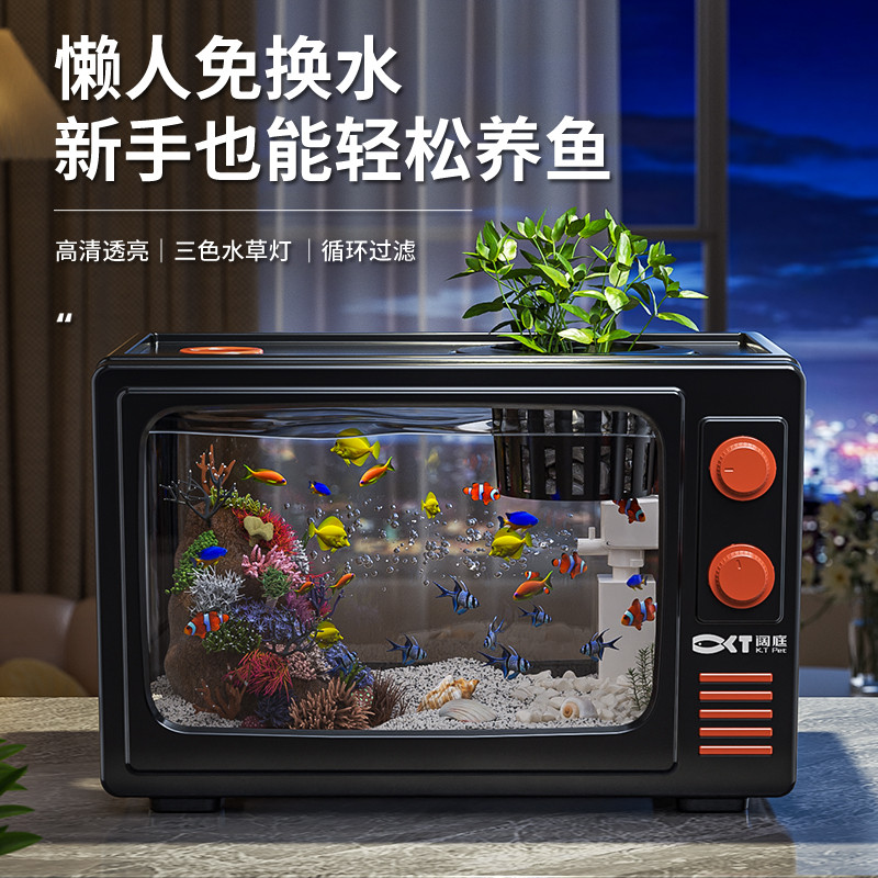 Small All-in-One Aquarium Starter Kit | Desktop Ecosystem Tank with ...