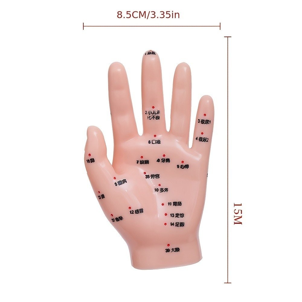Acupuncture Hand, Ear And Foot Acupoint Models - Accurate Marking, Safe ...