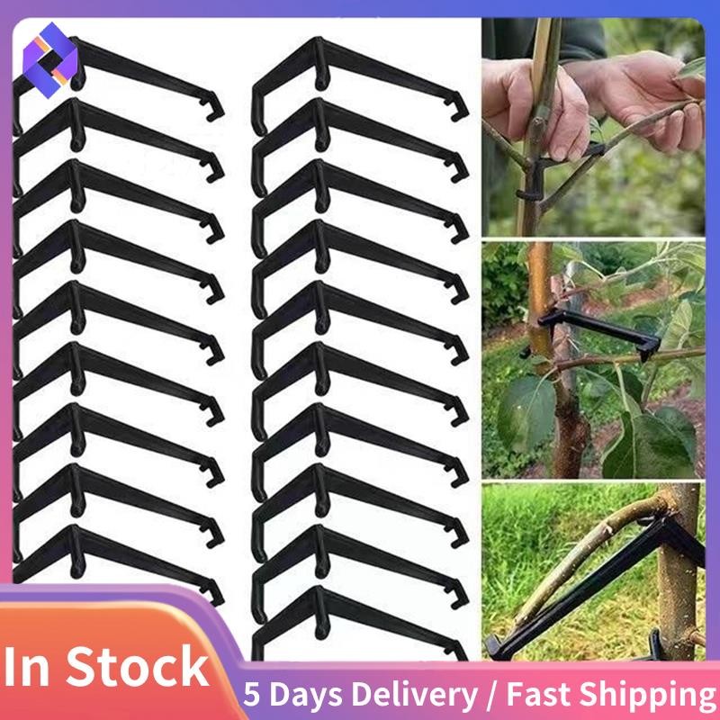 Branch Spreaders Fruit Tree Plastic Branch Separator Plant Stem Traine ...