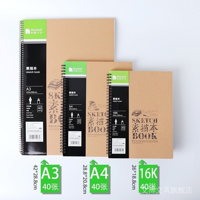 Mary Sketchbook a4 Size/16K Art Students Beginners Art Drawing Hand ...