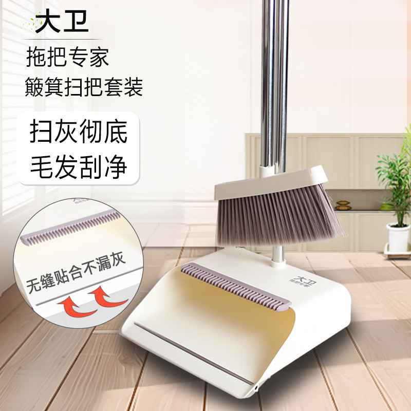 Set David Broom dan Dustpan untuk Kegunaan Rumah, Penyapu Bulu Lembut ...