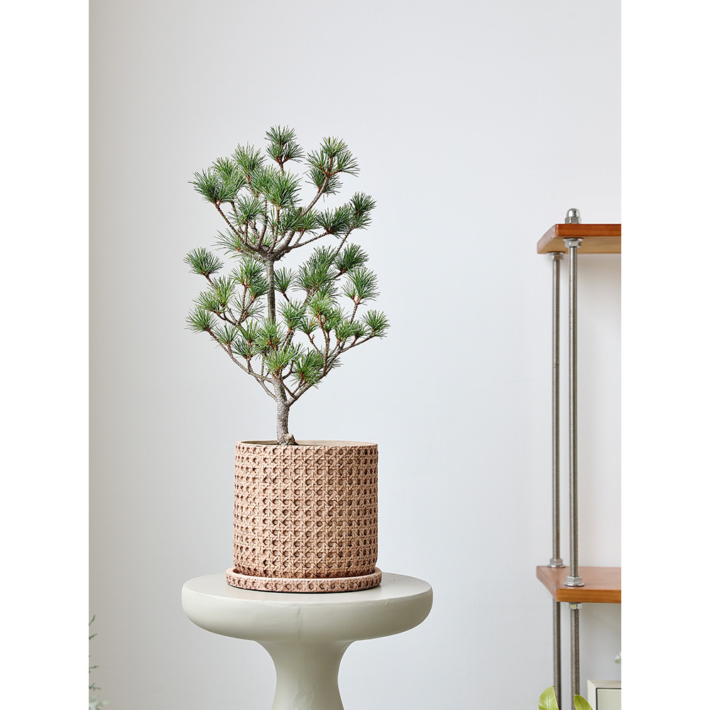 Tenunan tiruan gaya Jepun, pasu bunga simen, tenunan buluh, tenunan ...