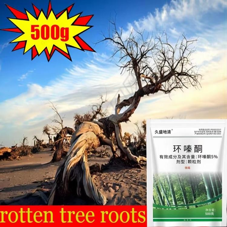 【Malay spot】alion arcun rumput parakuta Weeding，rotten tree eradicator ...