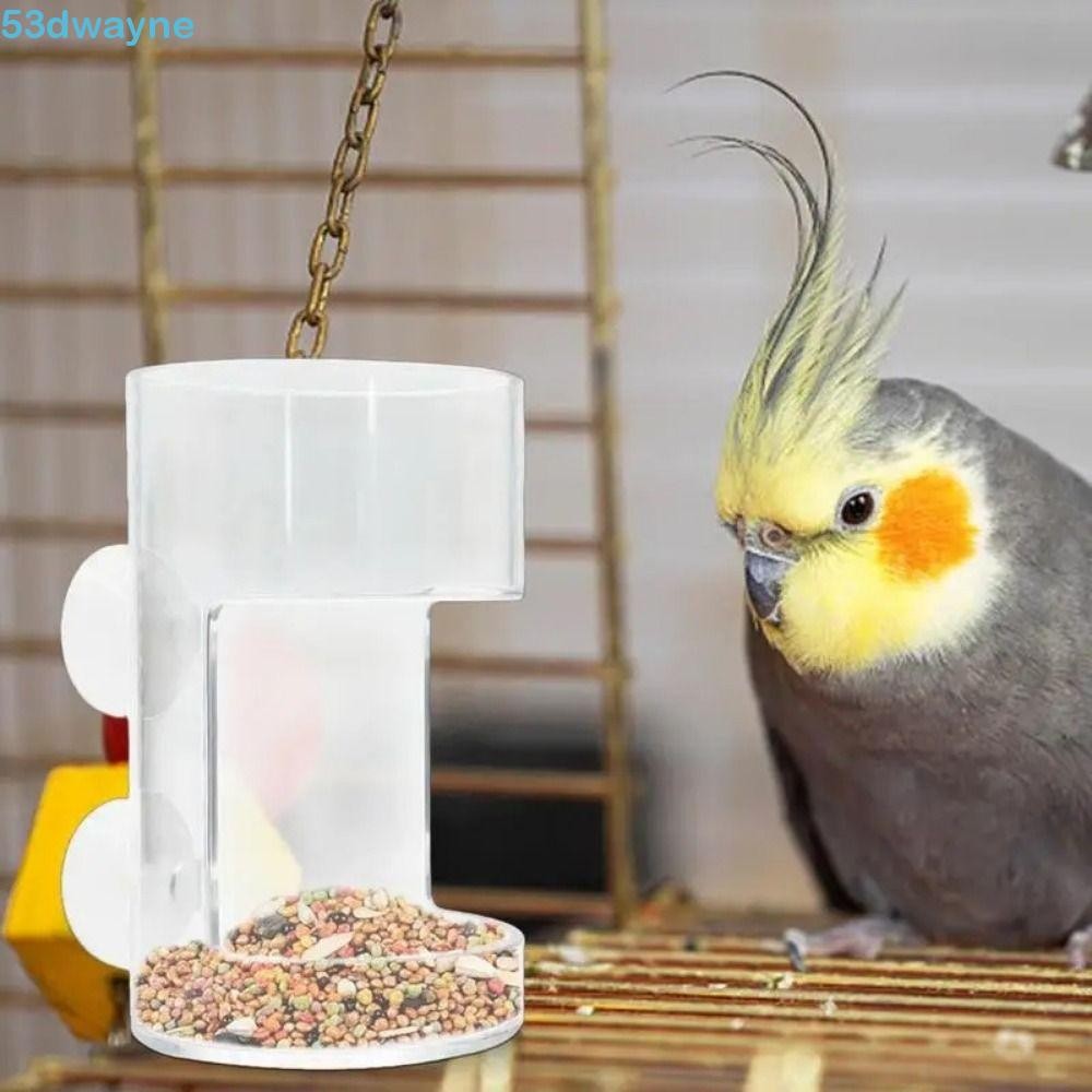 DWAYNE Suction Cup Fish Feeder, Square/Circle Plastic Station Floating ...