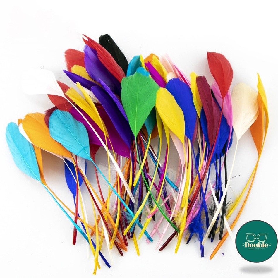 DG 20 Piece Colored Goose Feathers Crafts DIY Plume Natural White ...