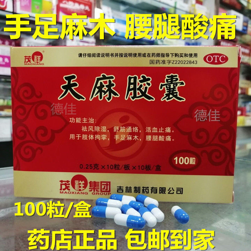 Gastrodia capsules100granule dispelling wind and eliminating dampness ...
