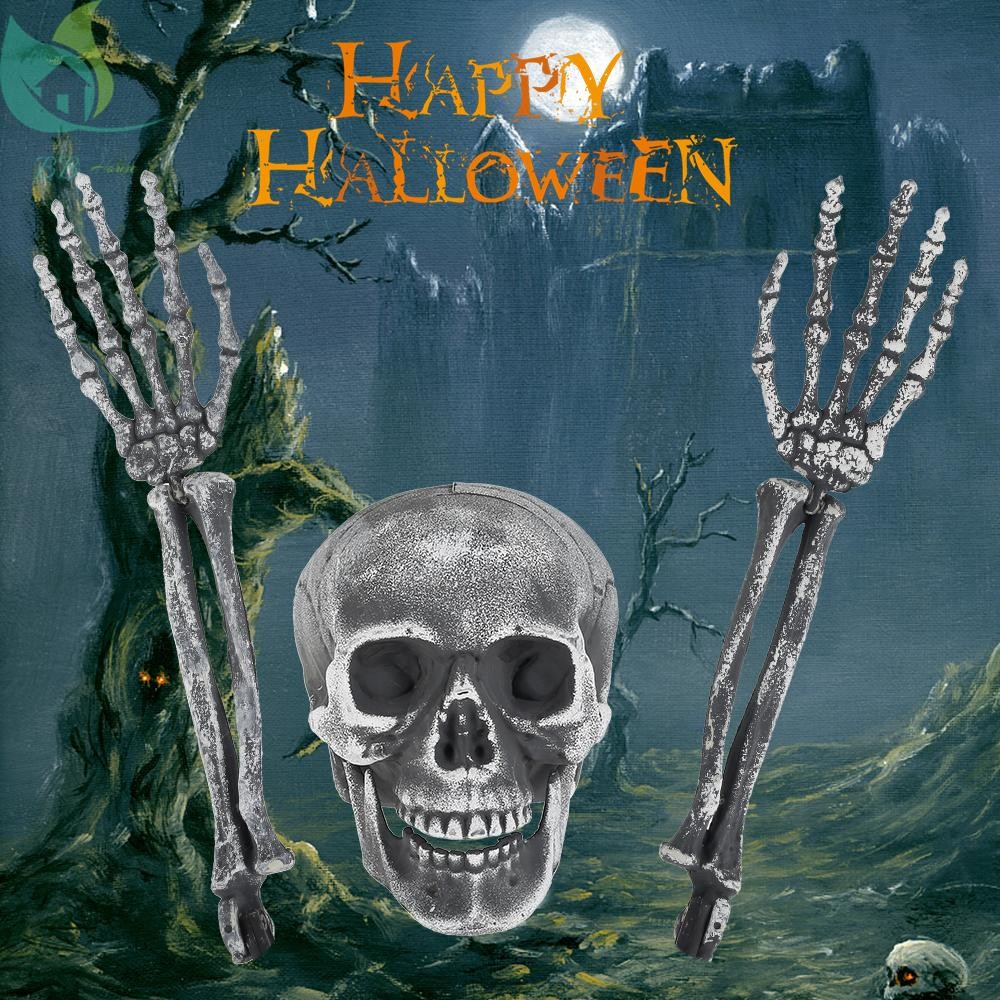 3 Pcs Skull Skeleton Decors Fake Skeleton Head and Hands Set Plastic ...