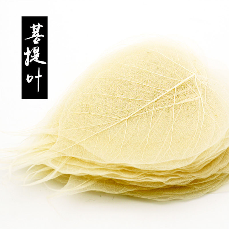 [93% Praise Rate] Natural Bodhi Leaf Vein Craft Stickers Leaf Material ...