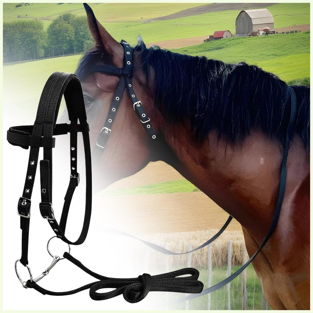 Horse Halter And Lead Rope Throat Latch For Horse Bridle With 3 Buckles ...