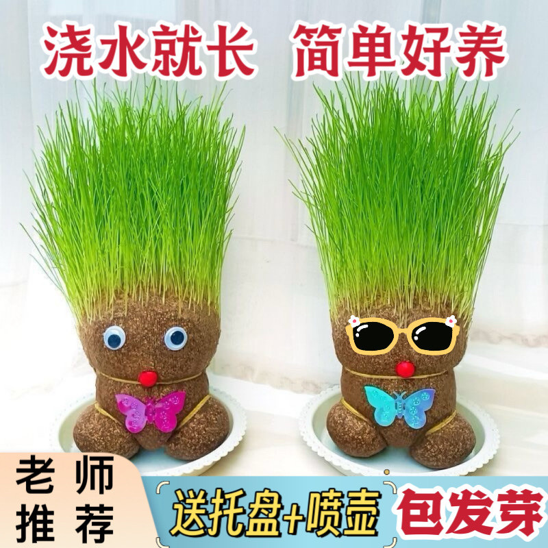 Anak Patung Kepala Rumput Anak Patung Bunga Hadiah Hari Kanak-Kanak ...