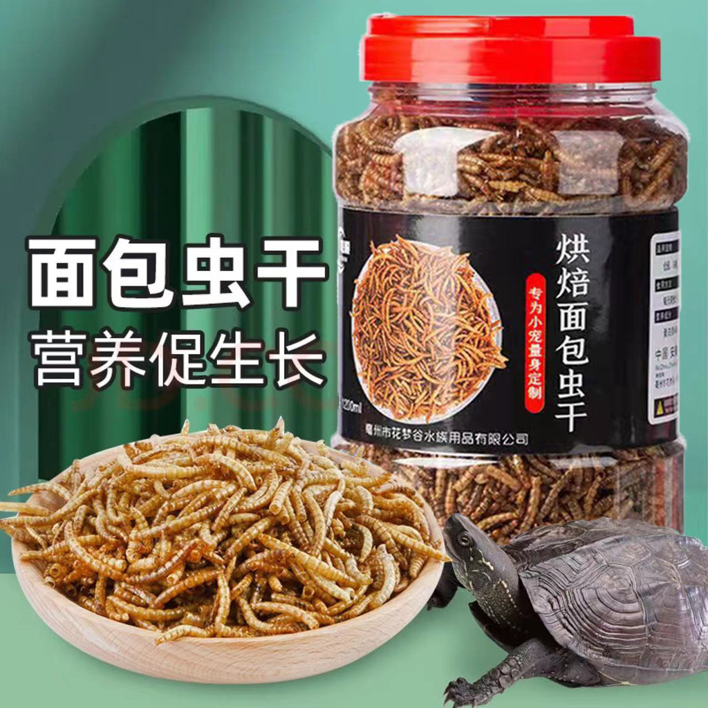 Turtle Feed Freeze-Dried Mealworm Small Turtle Brazilian Turtle Grass ...