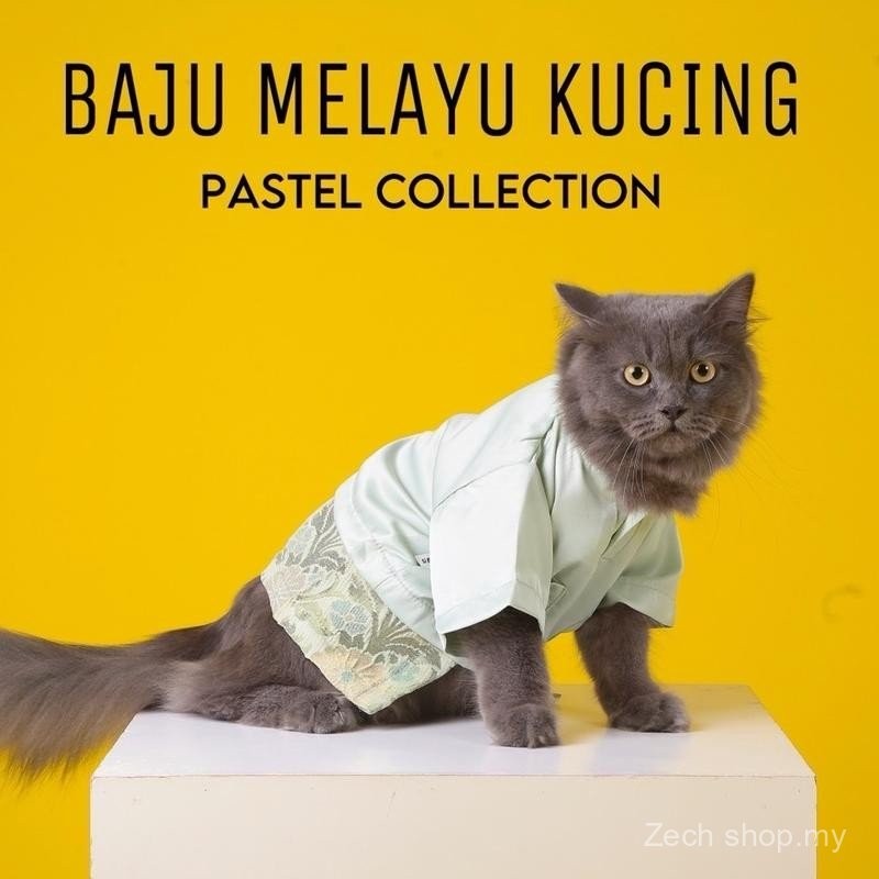 Baju Melayu Kucing Pastel Cekak Musang comel cute murah cantik jantan ...