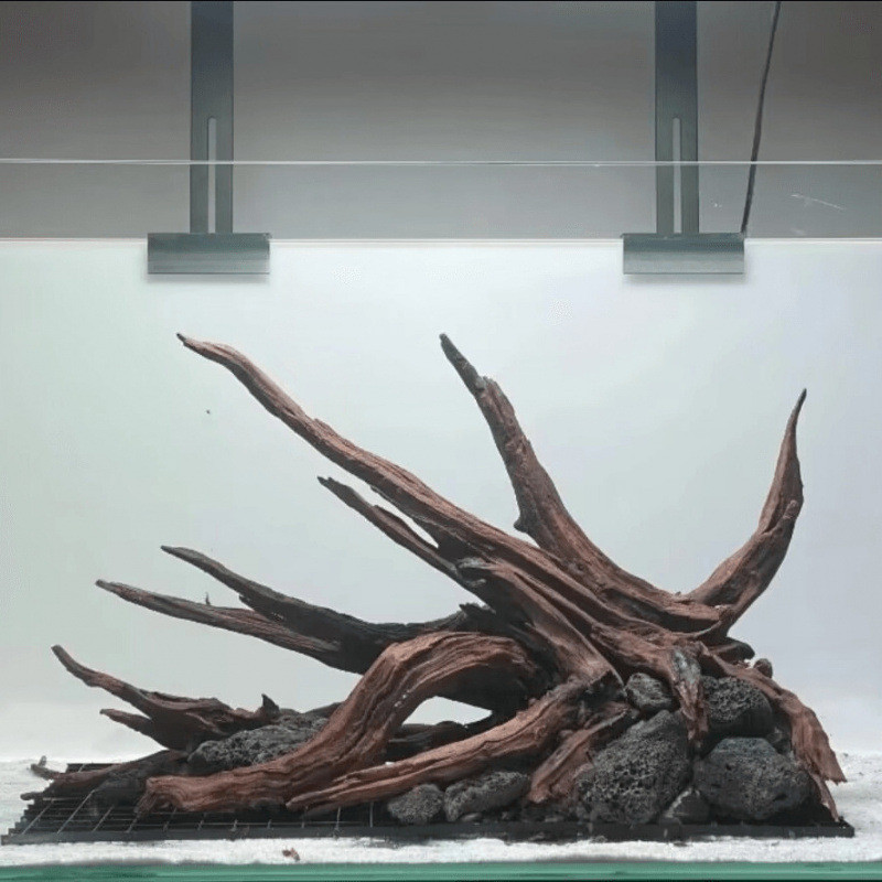 [End Words] Floating Wood Branch Skeleton South American Tank ...