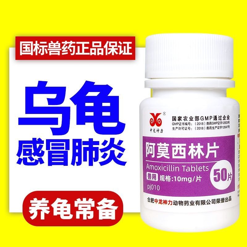 Zhonglong Magic Amosilin Tablets For Turtles Cold Pneumonia White Eye ...