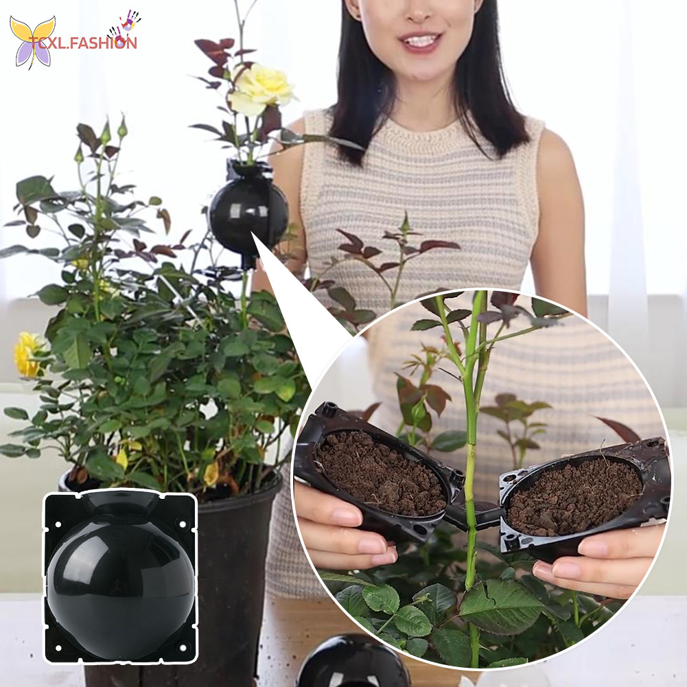 Plant Root Growing Box Rooting Ball Grafting Tools For Various Plants ...