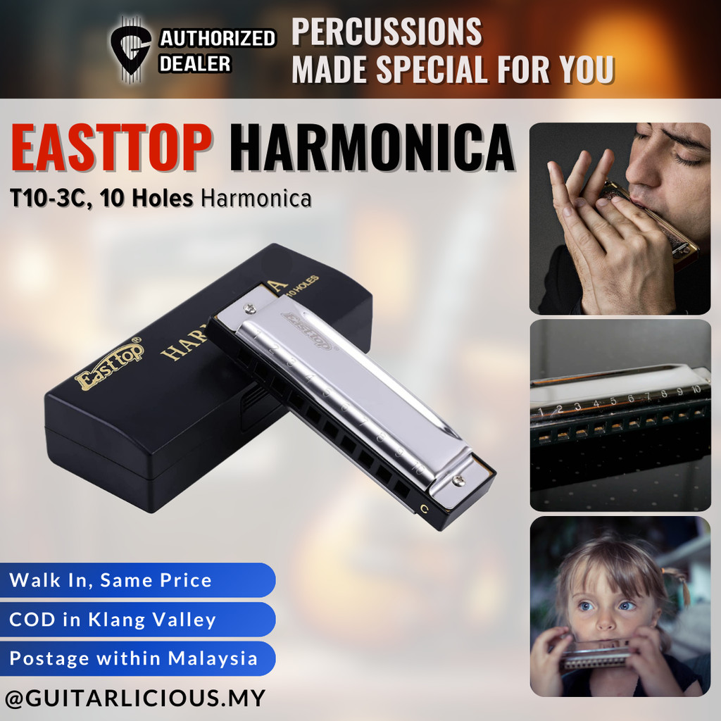10 Holes Easttop Harmonica with case - Mouth Organ Puzzle Musical Instrument Beginner harmonika ...