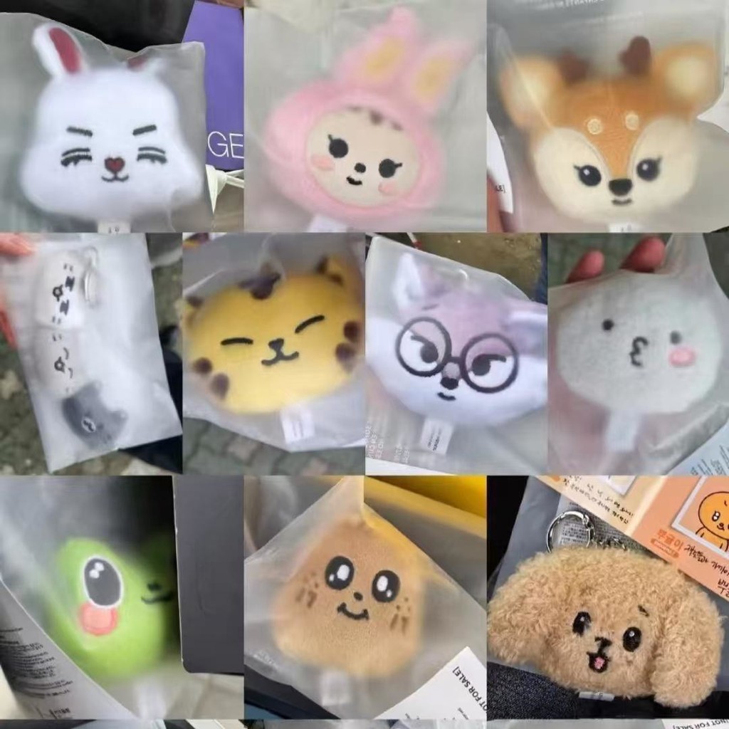 Kpop SVT Seventeen Plush Keychain Bag Charm Pendant JEONGHAN JOSHUA JUN ...