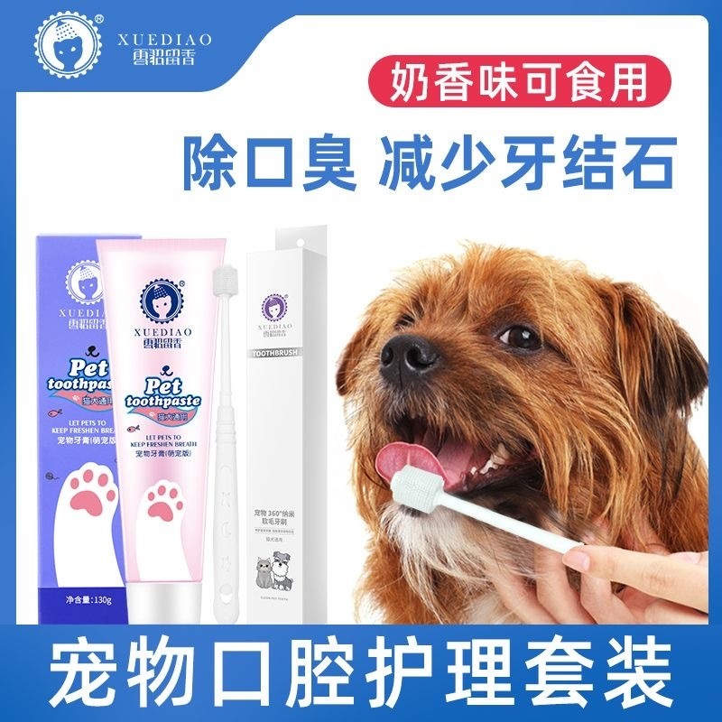 Ferret Pet Special Toothpaste Dog Brushing Oral Cleaning Remove Bad ...