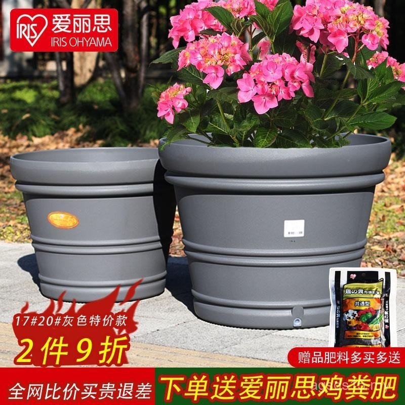 Alice No. 20 Pasu Bunga Alice Timbul Menanam Pokok Diameter Besar ...